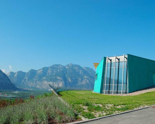 Maso Poli - Movimento Turismo del Vino Trentino Alto Adige