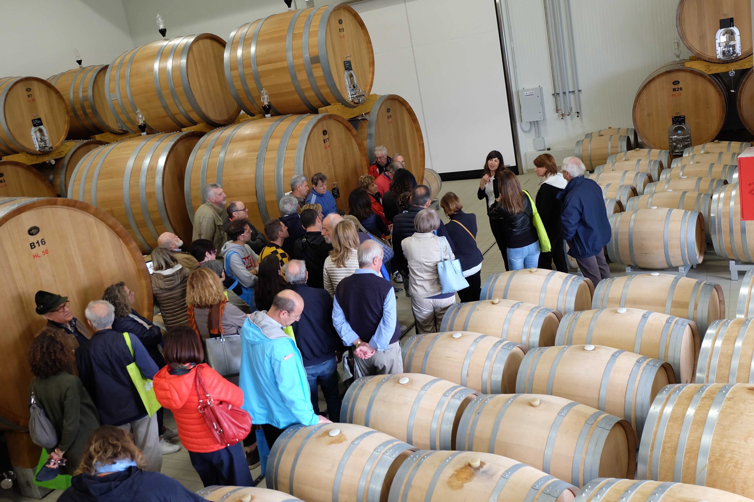 Cantine Aperte 2023 - Movimento Turismo del Vino Trentino Alto Adige